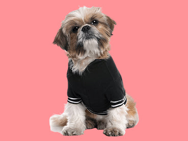 FurryTails – Premium Pet Products for Dogs, Cats, and More – Furry Tails